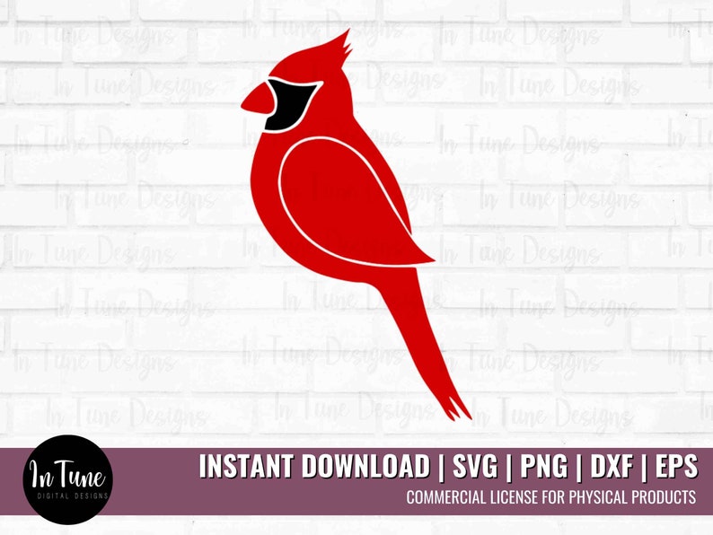 Cardinal Svg Red Cardinal Bird Cut File Ohio State Bird Svg - Etsy