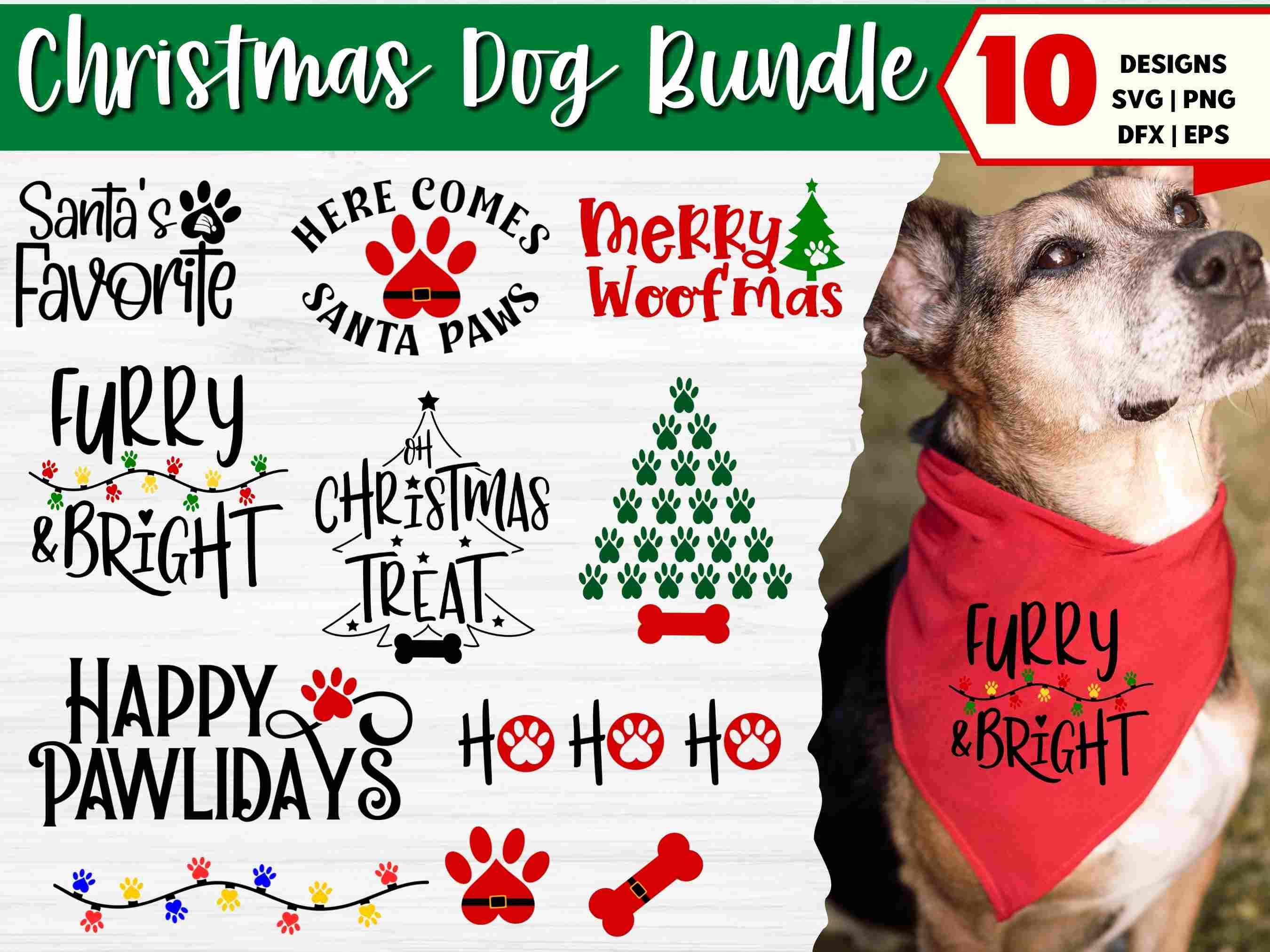 Christmas Dog Bandana Svg Bundle Santa Paws SVG (Instant Download) - Etsy