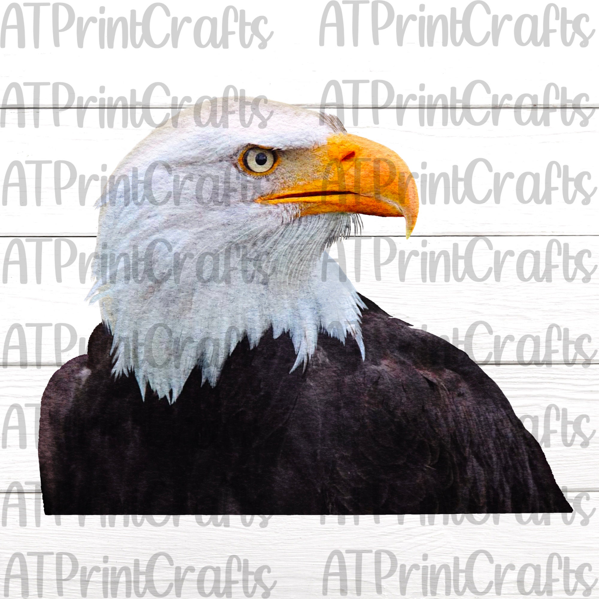 Eagle Sublimation Design Digital Download Sublimation Graphics | Etsy