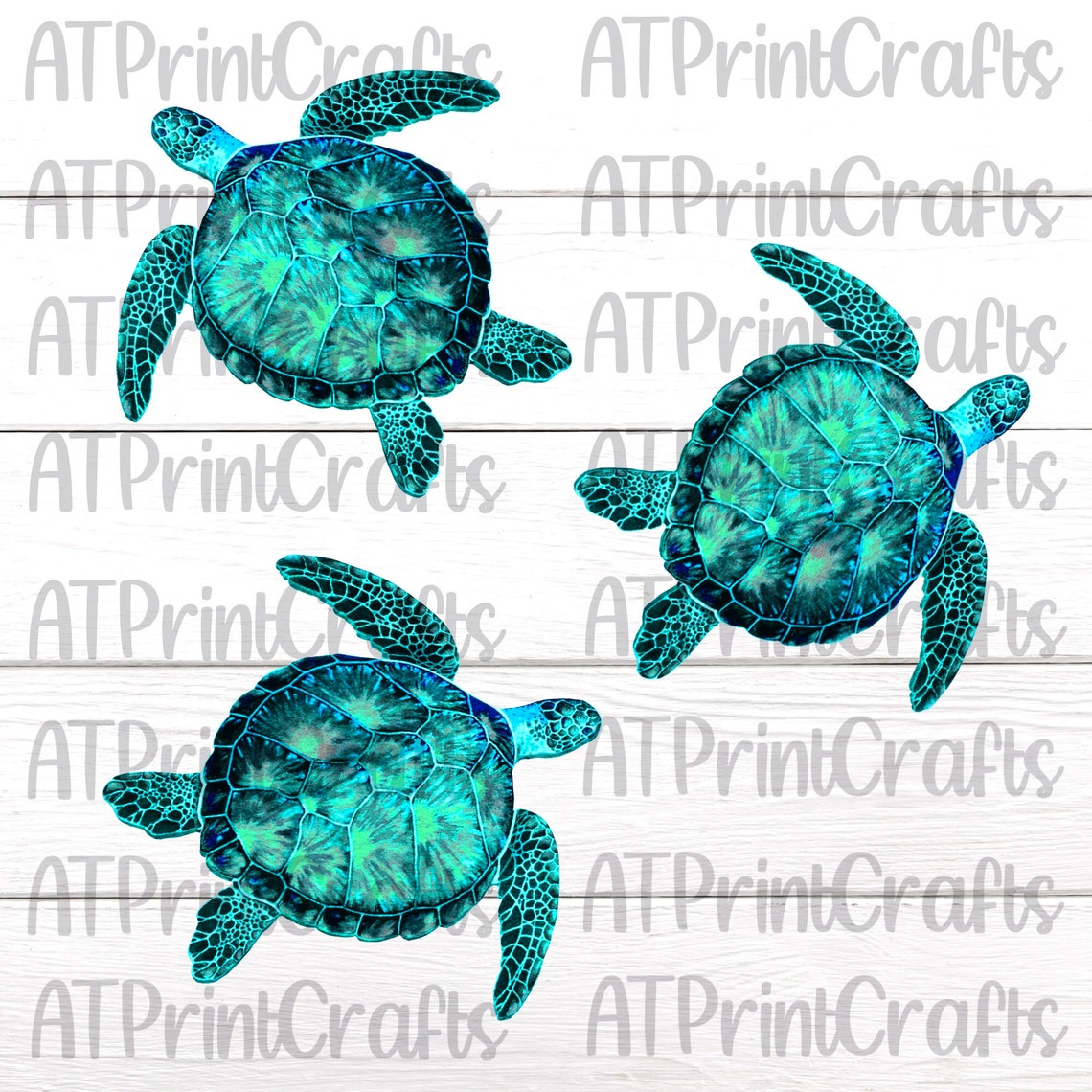 Png Sea Turtles Sublimation Design Digital Download - Etsy