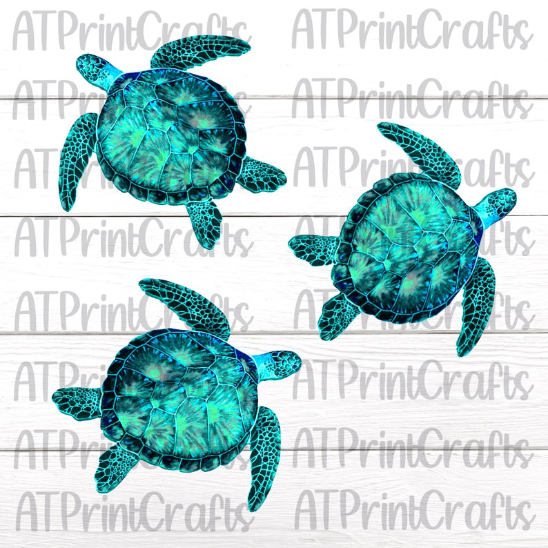 Png Sea Turtles Sublimation Design Digital Download - Etsy