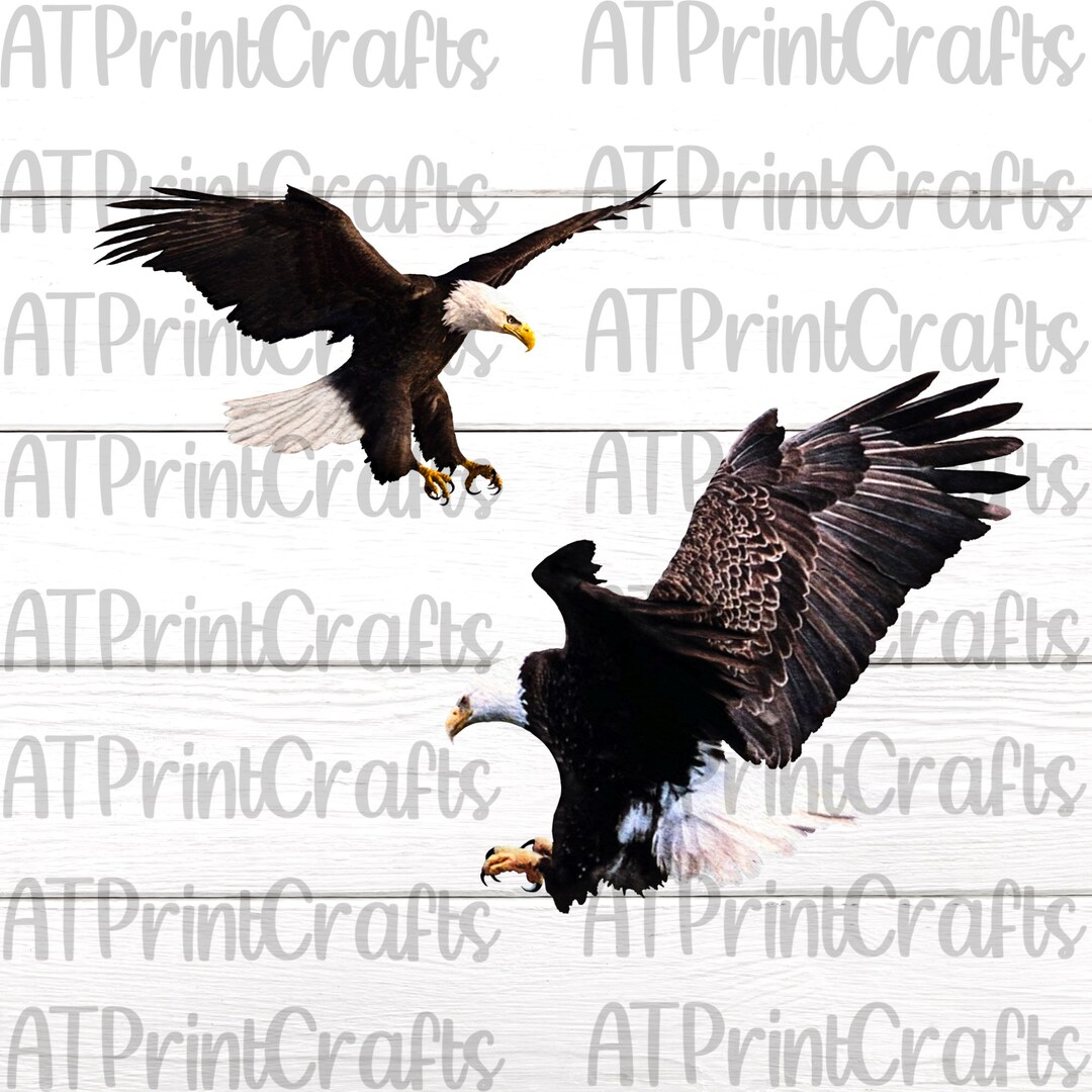 Png Eagle Sublimation Design Digital Download Sublimation Graphics Png ...
