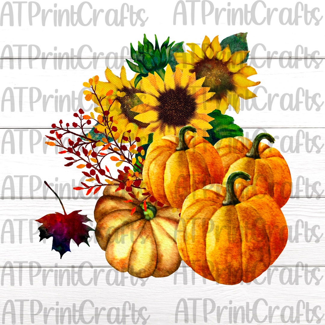 Png Pumpkins Sublimation Design Digital Download Sublimation - Etsy