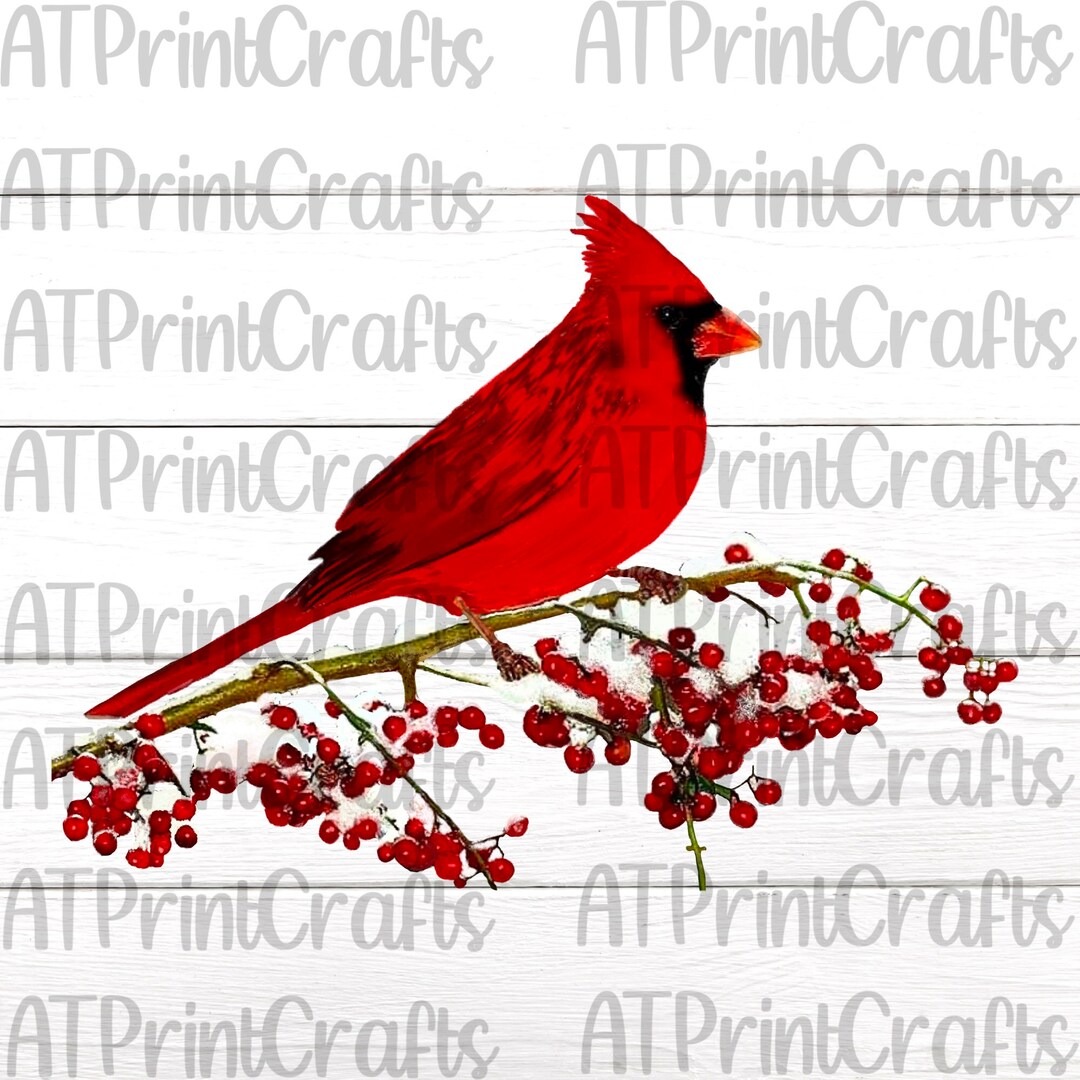 Cardinal Sublimation Design Digital Download Sublimation Graphics Png ...