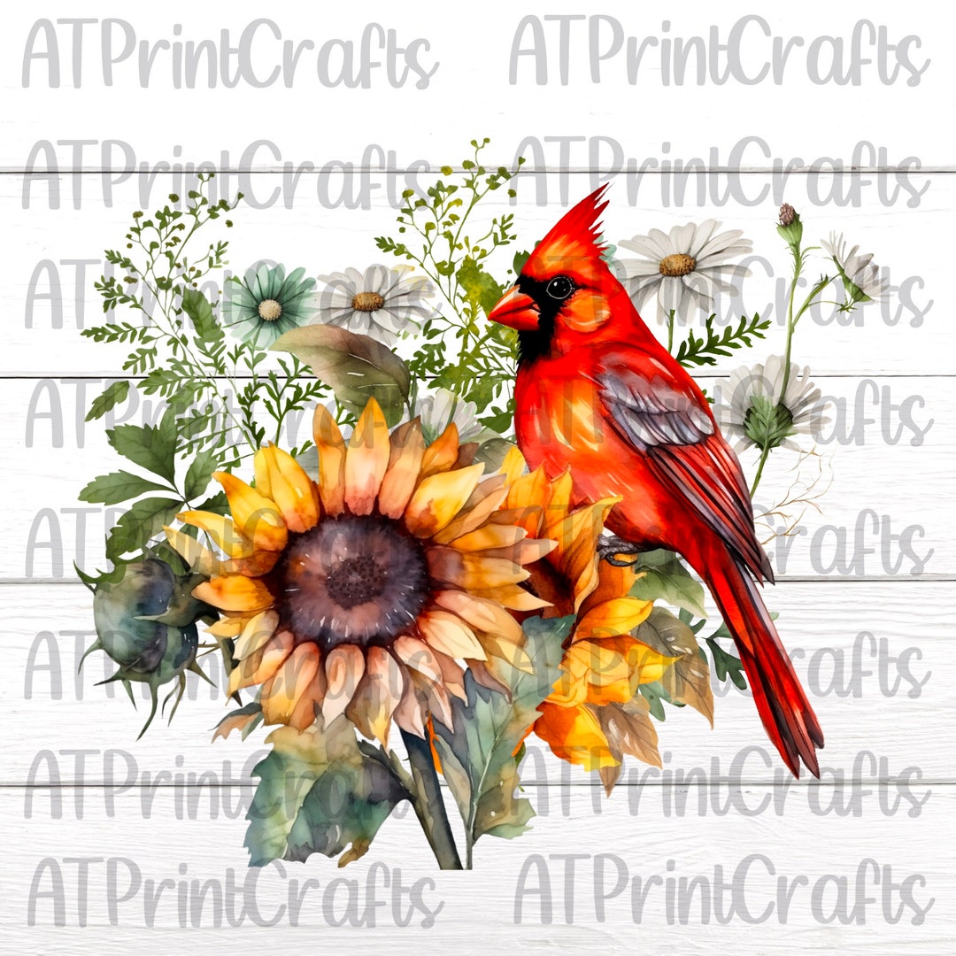 Png Watercolor Red Cardinal Design Digital Download Sublimation ...