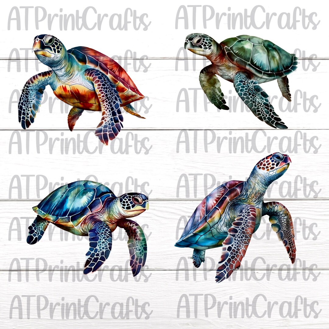 Png Watercolor Sea Turtle Sublimation Design Digital Download ...