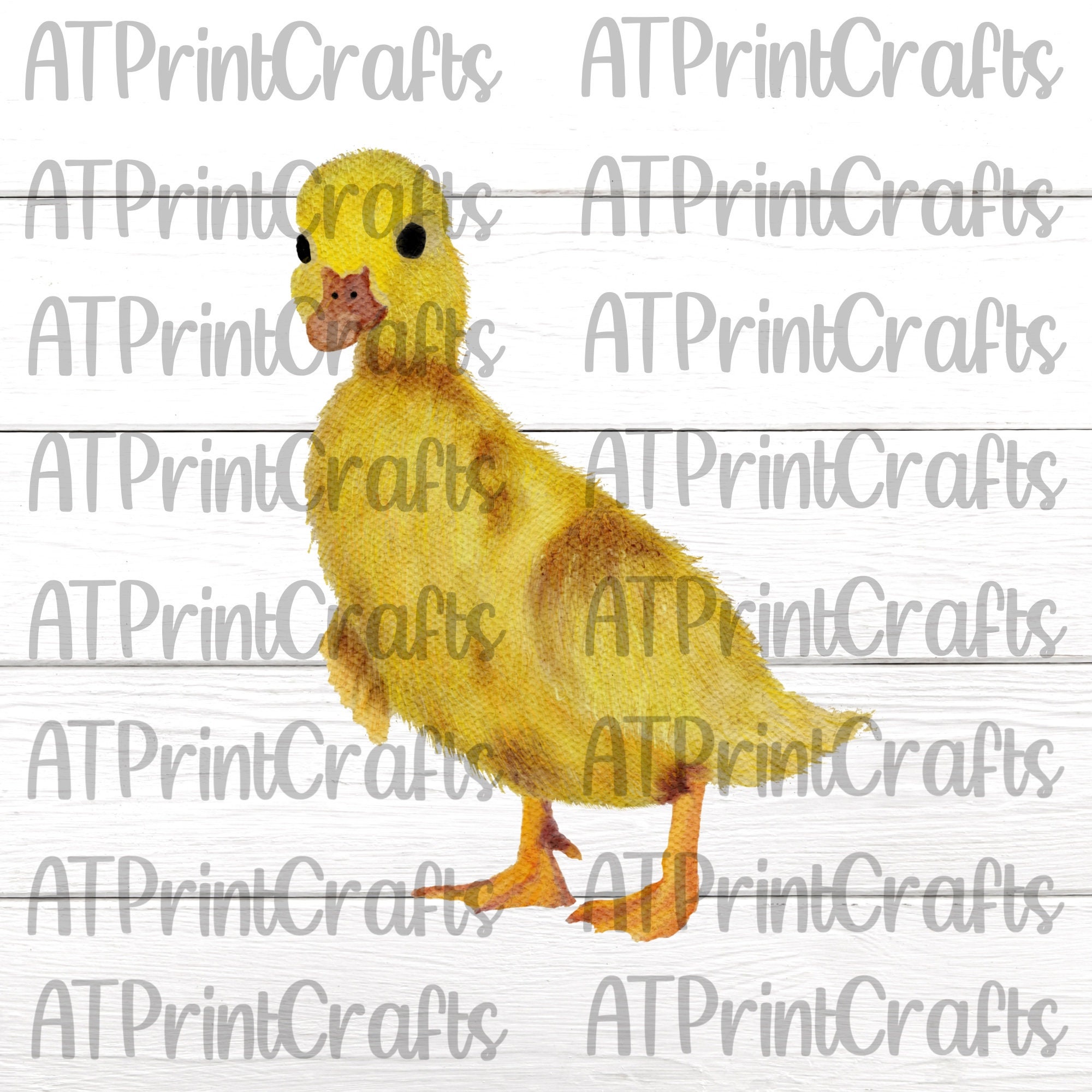 Little Duck Sublimation Design Digital Download Sublimation | Etsy