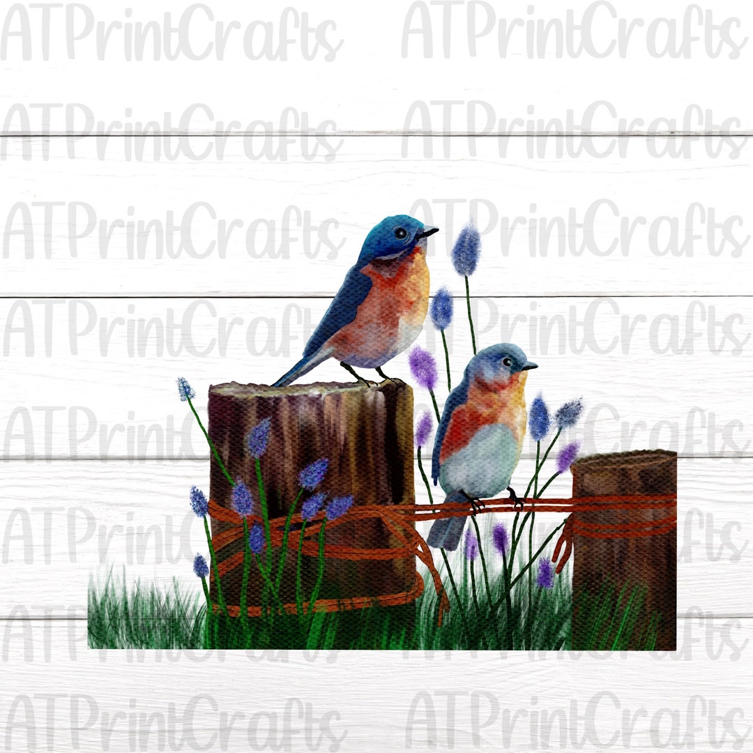 Blue Bird Sublimation Design Digital Download Sublimation Graphics Png ...