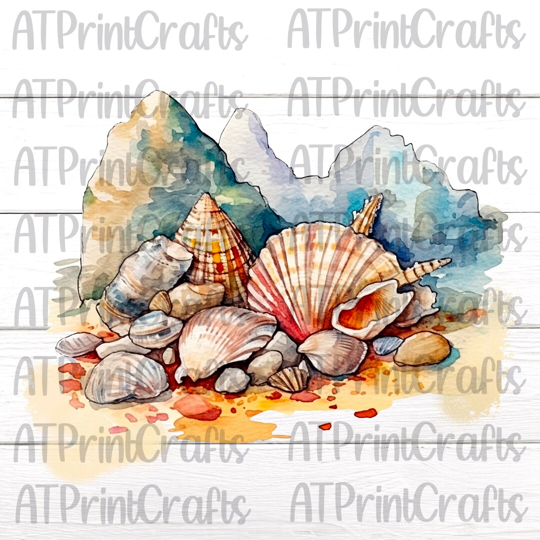 Seashells Png Sublimation Design Digital Download Sublimation Graphics ...