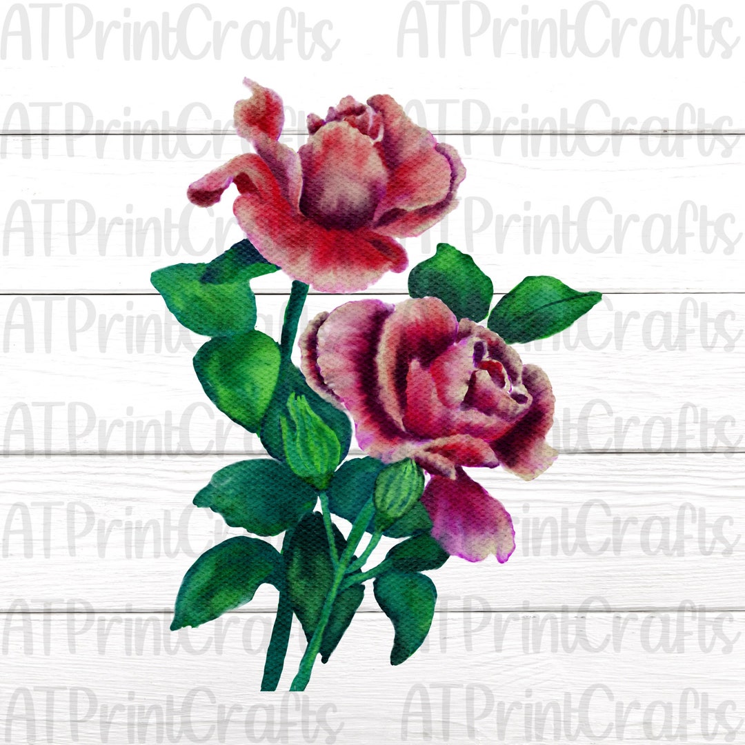 Rose Sublimation Design Digital Download Sublimation Graphics - Etsy