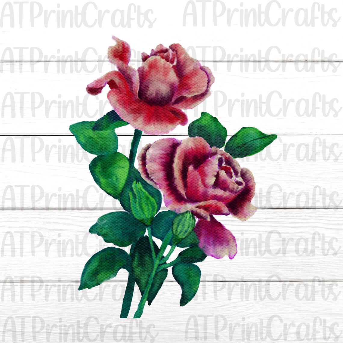 Rose Sublimation Design Digital Download Sublimation Graphics - Etsy
