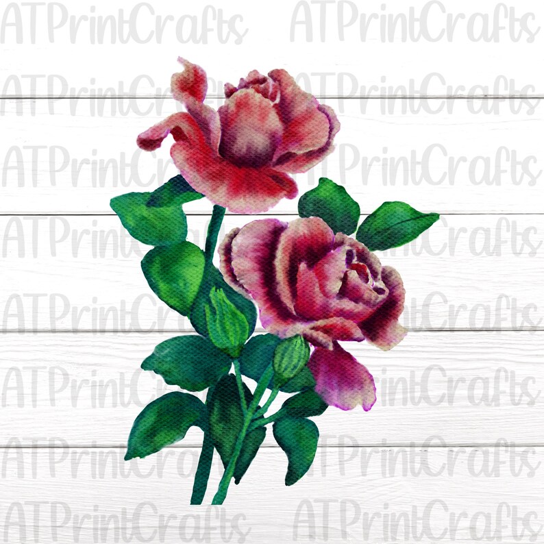 Rose Sublimation Design Digital Download Sublimation Graphics - Etsy