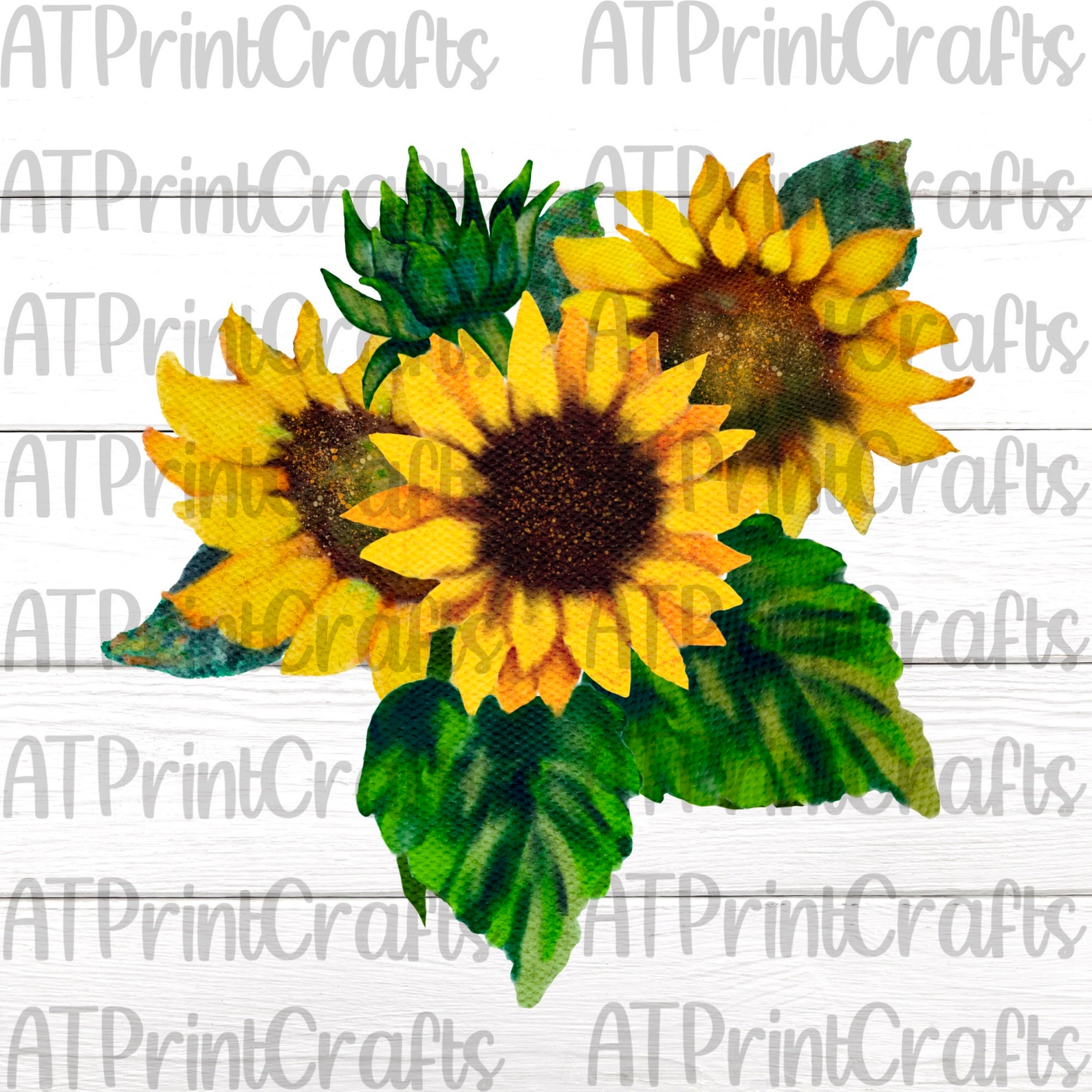 Sunflower Sublimation Design Digital Download Sublimation - Etsy