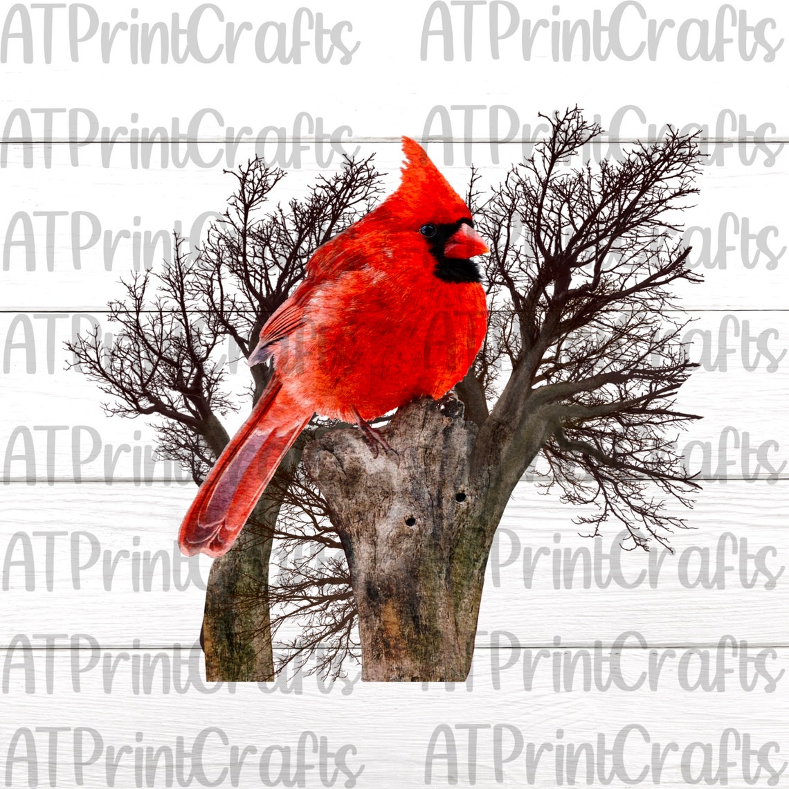 Png Cardinal Sublimation Design Digital Download Sublimation - Etsy