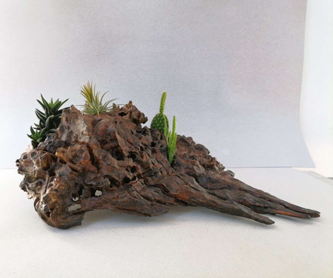 Tree Root Planter - Etsy