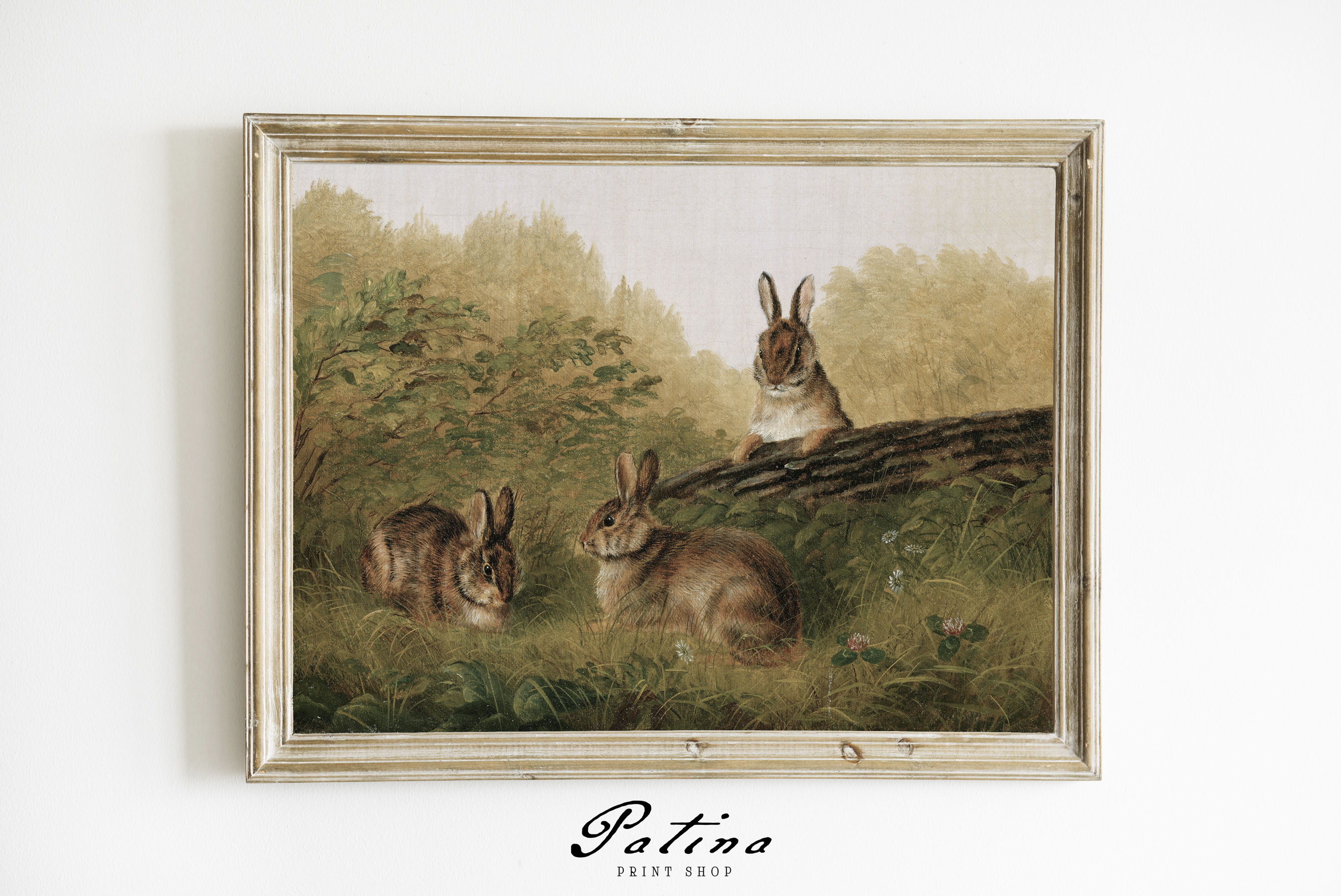 Rabbit Vintage Animal Print Nursery Wall Art Bunny - Etsy
