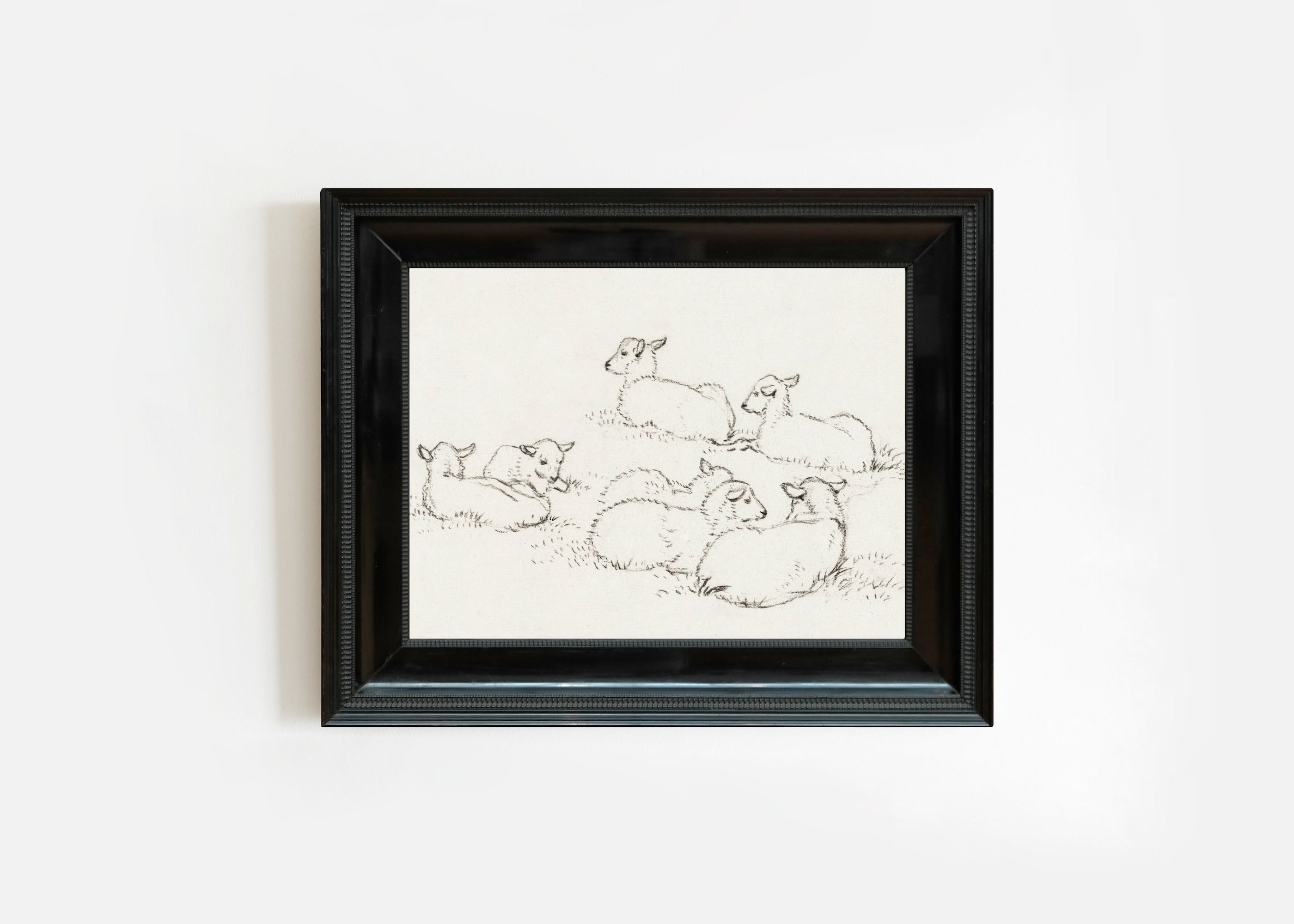 Baby Sheep Drawing | Nursery Art Print | Vintage Drawing | Antique ...