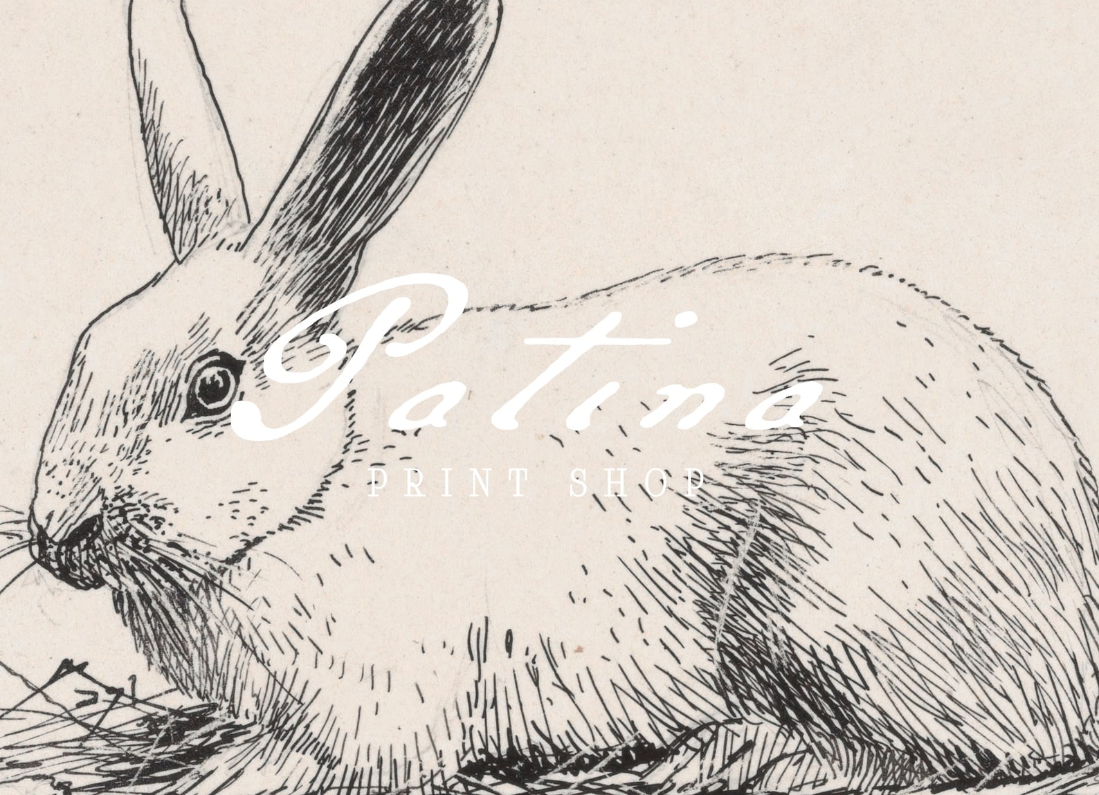 Vintage Rabbit Drawing Antique Sketch Vintage Animal Art - Etsy