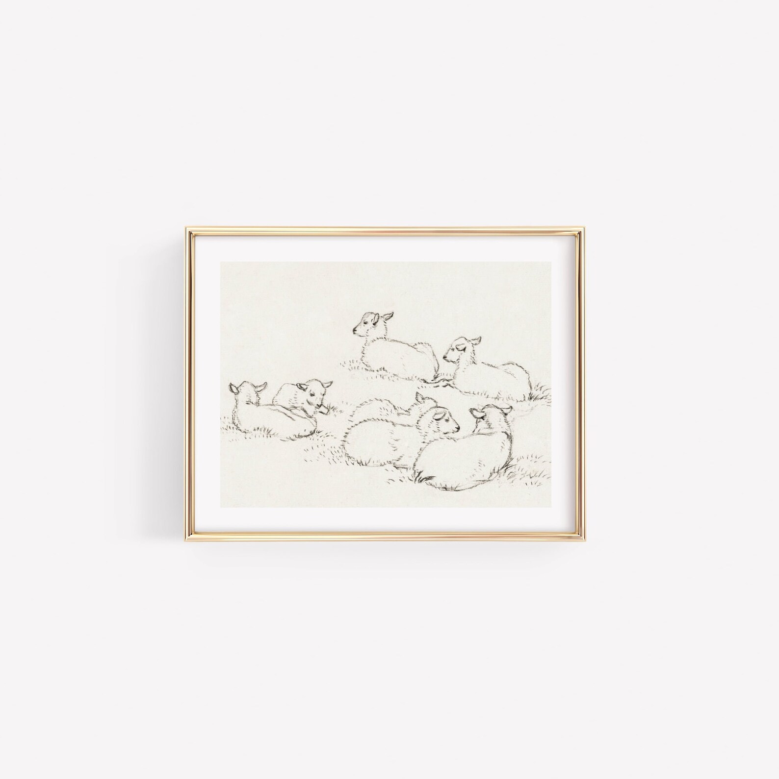 Baby Sheep Drawing | Nursery Art Print | Vintage Drawing | Antique ...