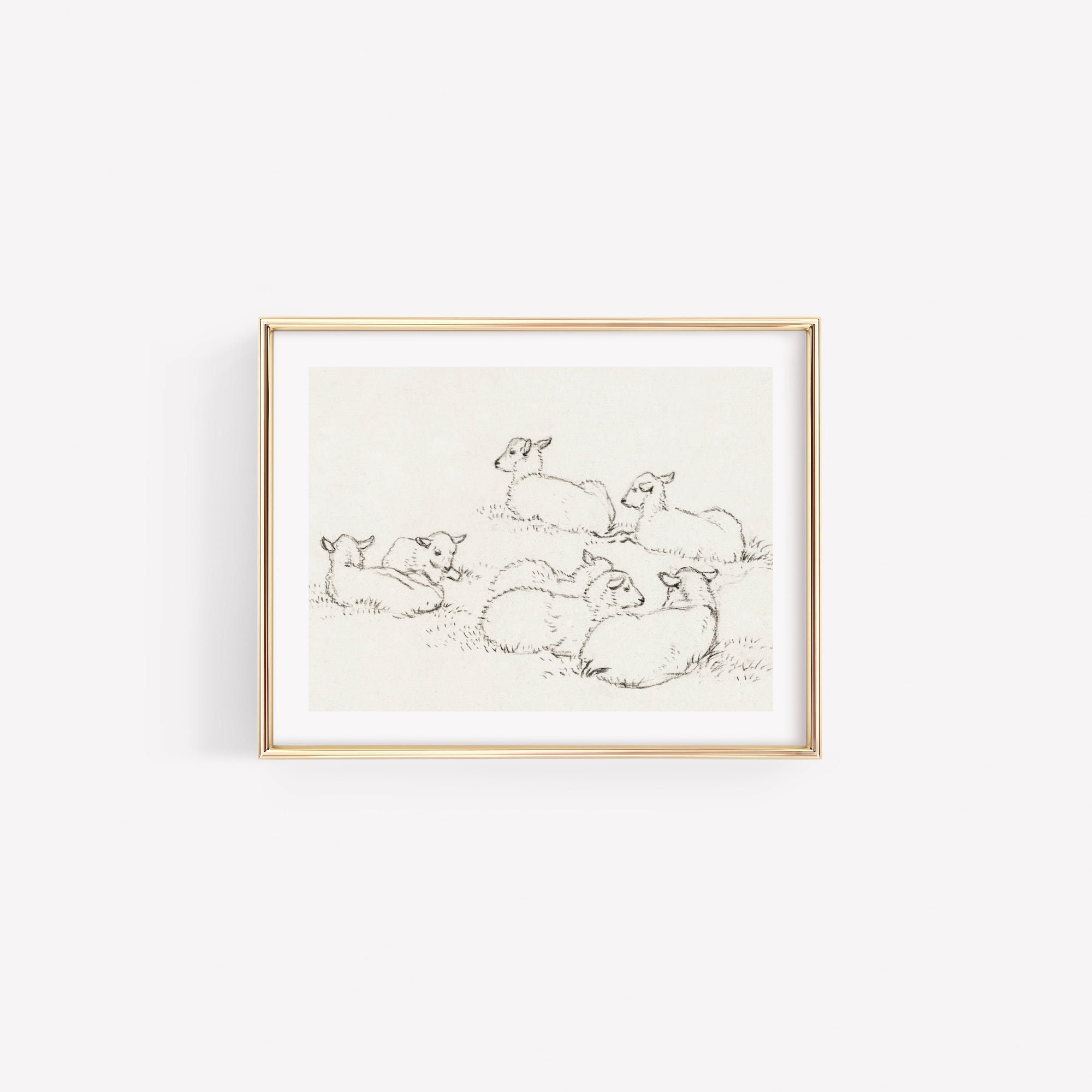 Baby Sheep Drawing | Nursery Art Print | Vintage Drawing | Antique ...