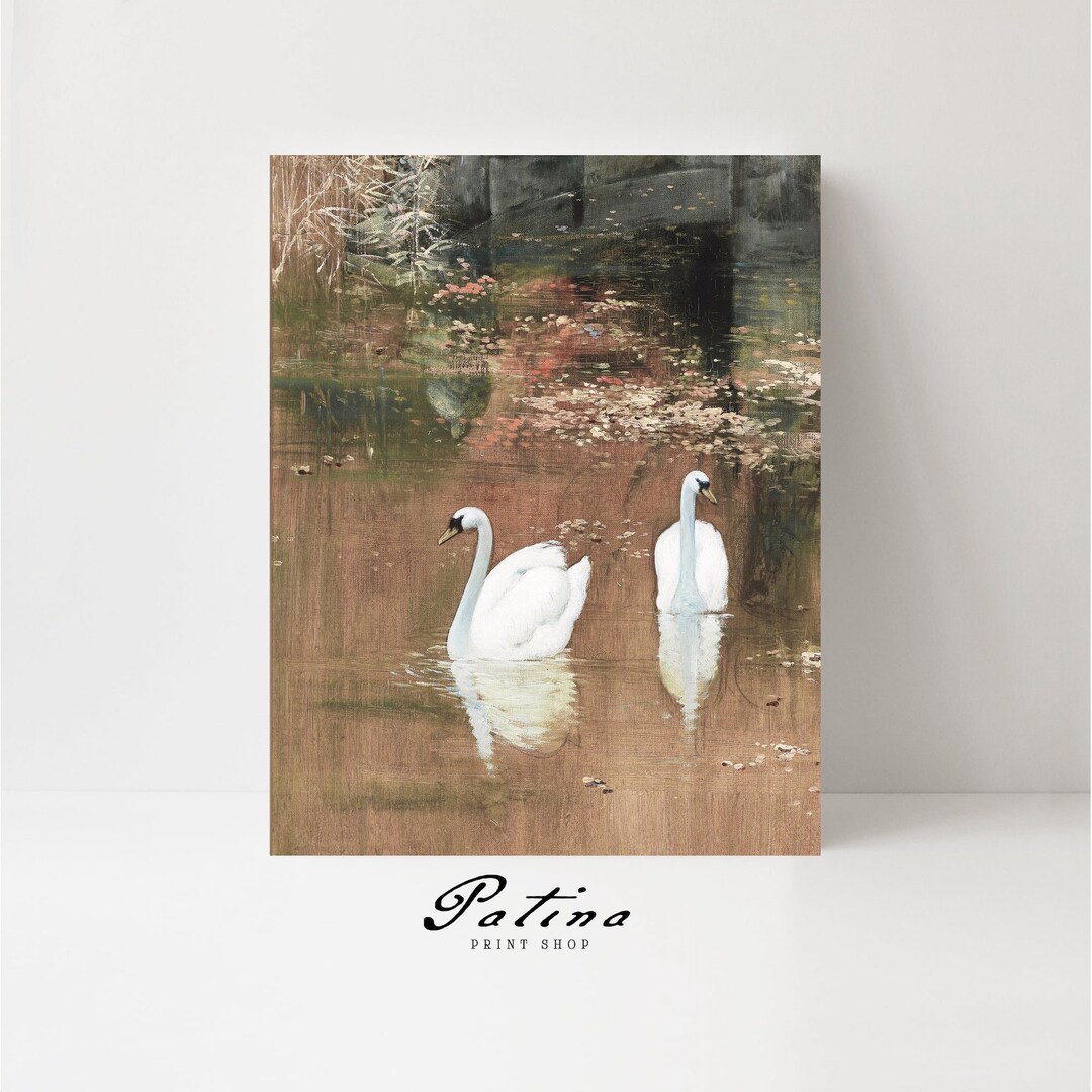 Swan Print | Vintage Bird Art | Swan Painting | French Country Decor ...