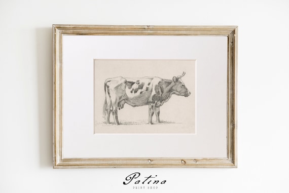Vintage Cow Drawing Antique Sketch Vintage Cow Art Black | Etsy