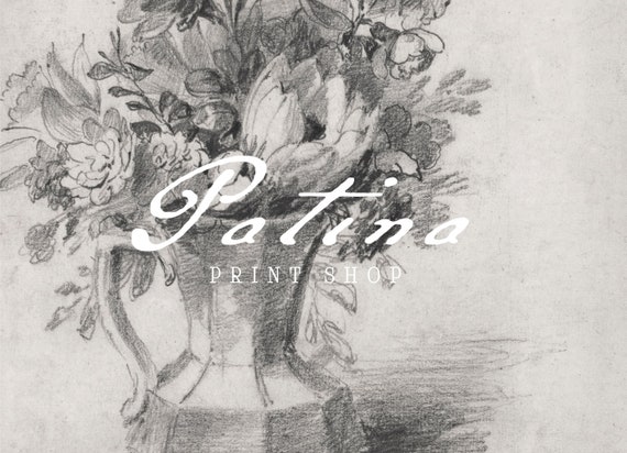 French Flowers Drawing