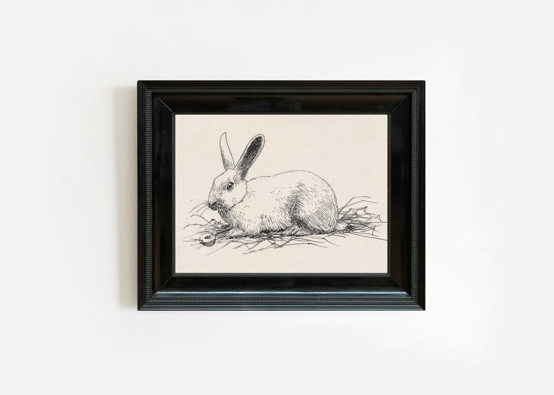 Vintage Rabbit Drawing Antique Sketch Vintage Animal Art - Etsy