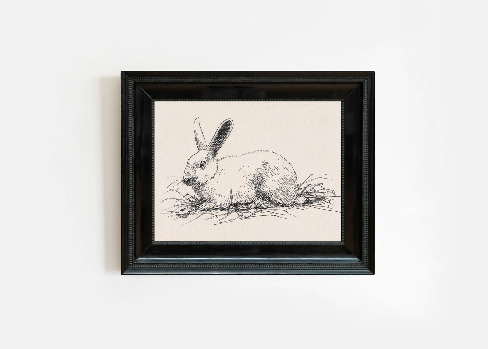 Vintage Rabbit Drawing Antique Sketch Vintage Animal Art - Etsy
