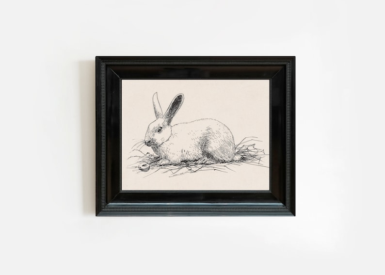 Vintage Rabbit Drawing Antique Sketch Vintage Animal Art - Etsy