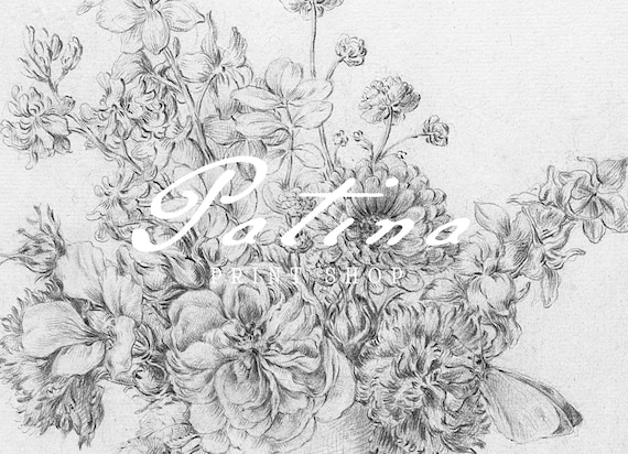 Antique Flower Drawing Flower Drawing Vector Art & Graphics