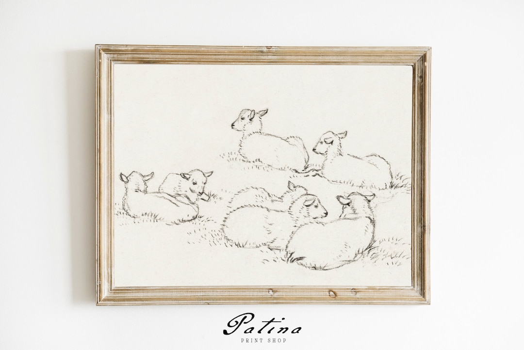 Baby Sheep Drawing | Nursery Art Print | Vintage Drawing | Antique ...