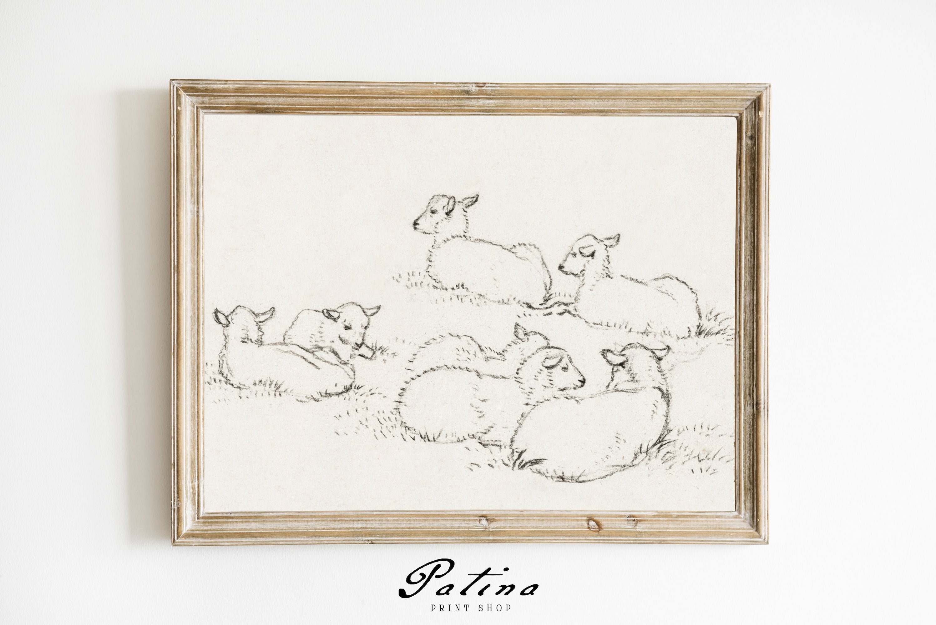 Baby Sheep Drawing | Nursery Art Print | Vintage Drawing | Antique ...