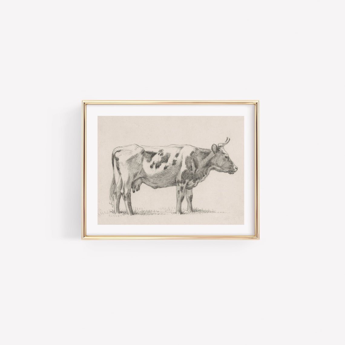 Vintage Cow Drawing Antique Sketch Vintage Cow Art Black | Etsy