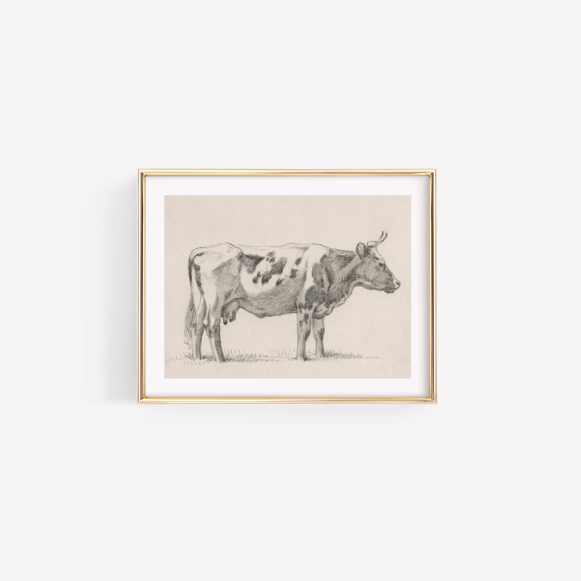 Vintage Cow Drawing Antique Sketch Vintage Cow Art Black | Etsy