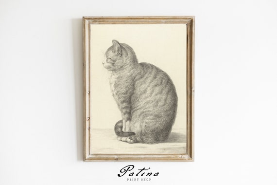 Vintage Cat Drawing Cat Art Antique Sketch Vintage | Etsy