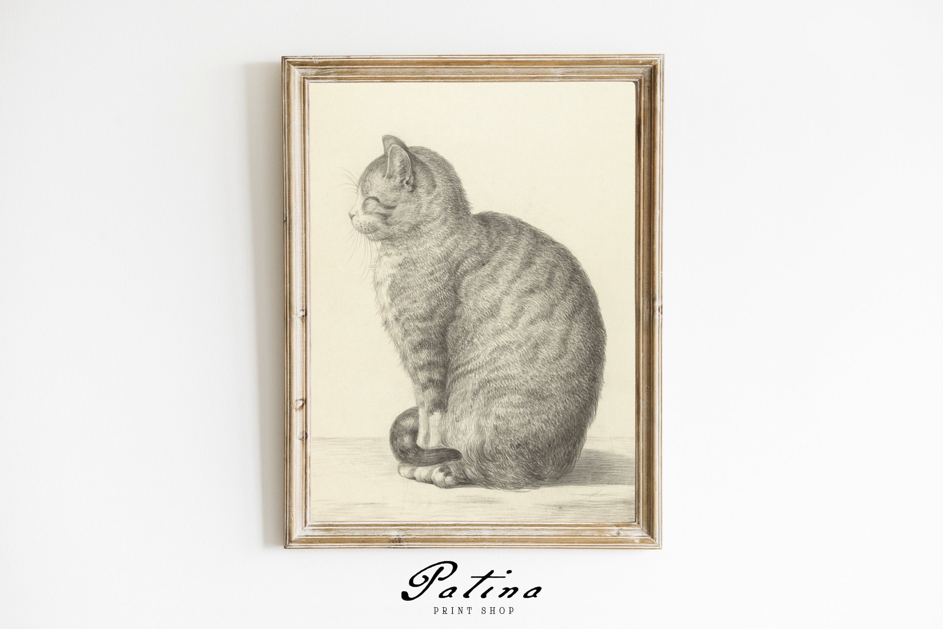 Vintage Cat Drawing Cat Art Antique Sketch Vintage | Etsy