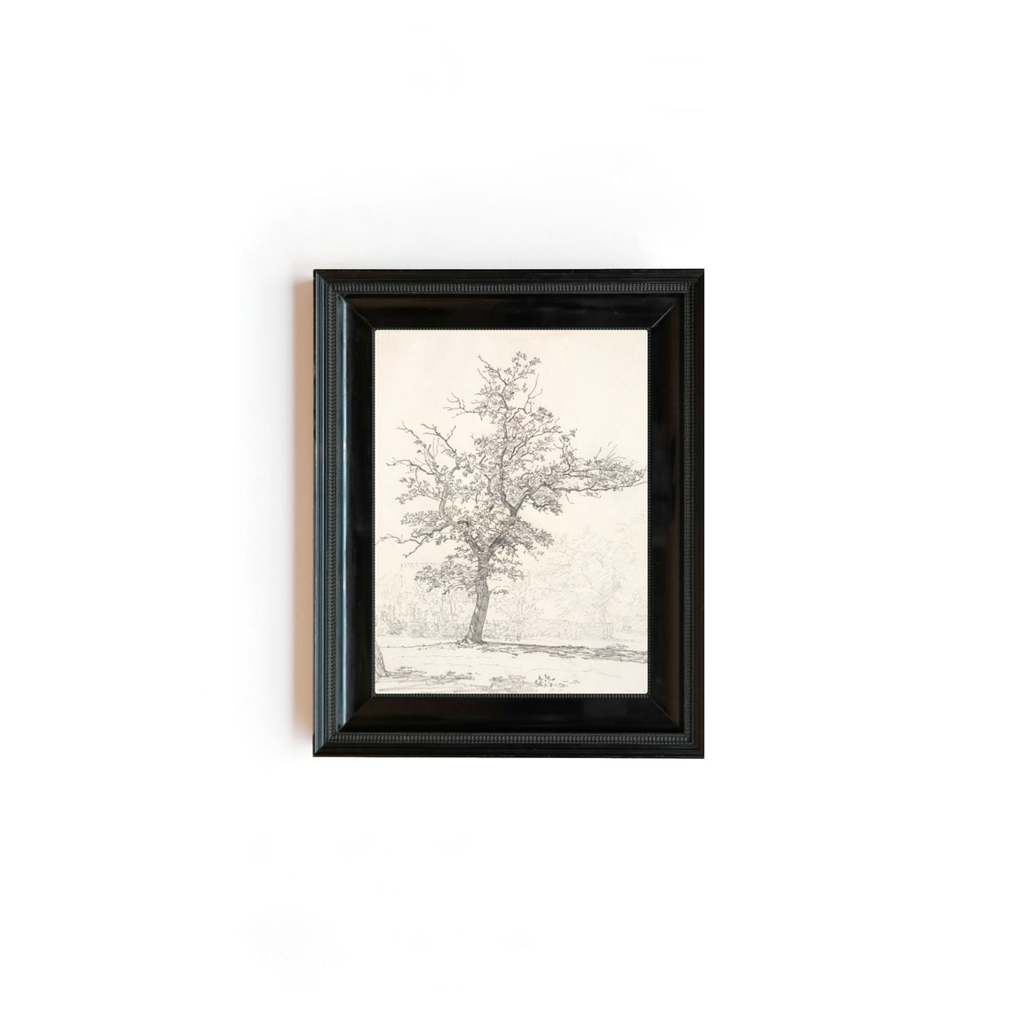 Vintage Tree Sketch Tree Drawing Nature Print Antique - Etsy