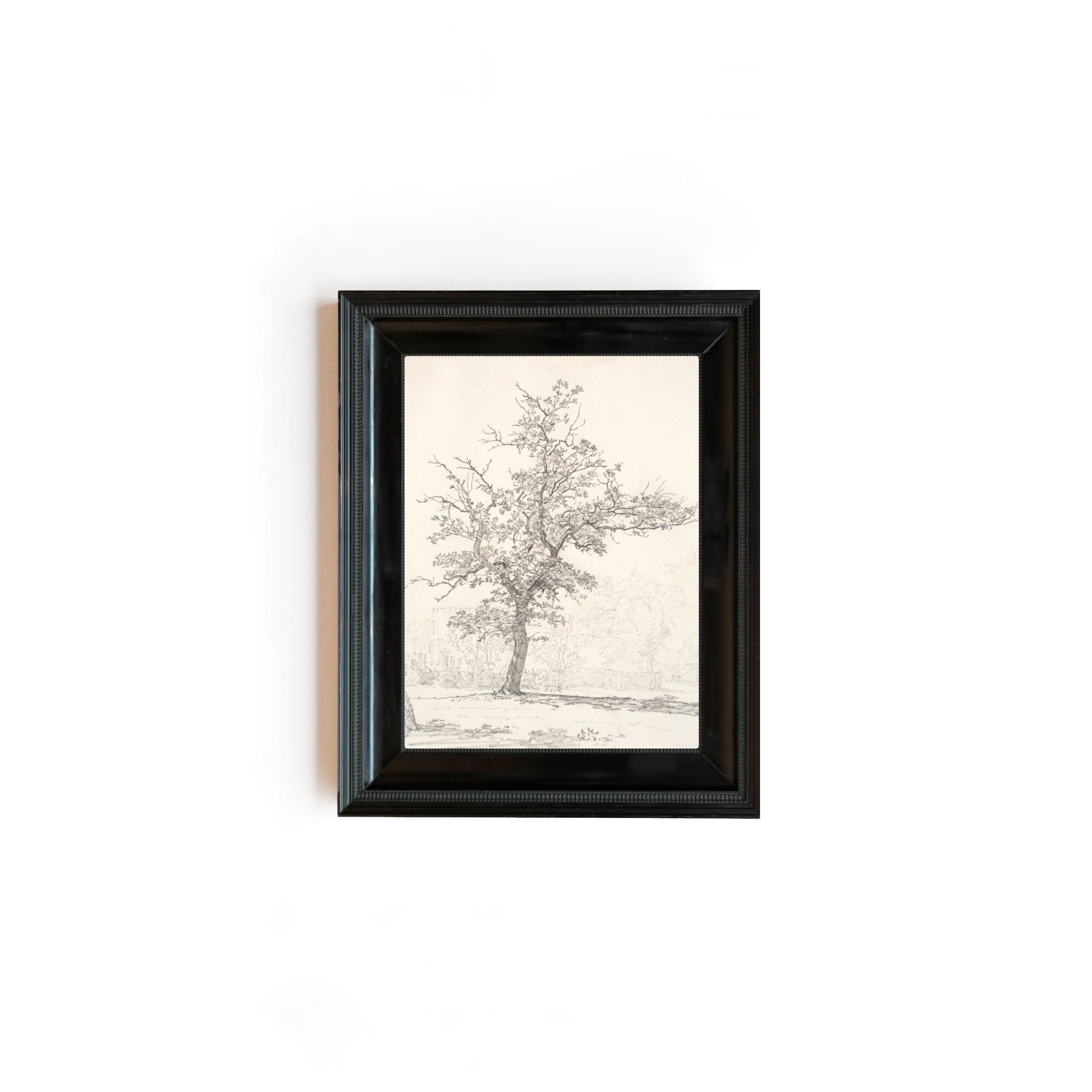 Vintage Tree Sketch Tree Drawing Nature Print Antique - Etsy