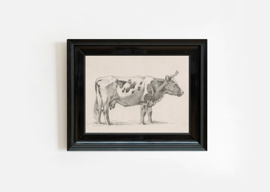 Vintage Cow Drawing Antique Sketch Vintage Cow Art Black | Etsy