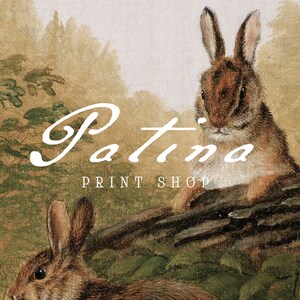 Rabbit Vintage Animal Print | Nursery Wall Art | Bunny Printable ...