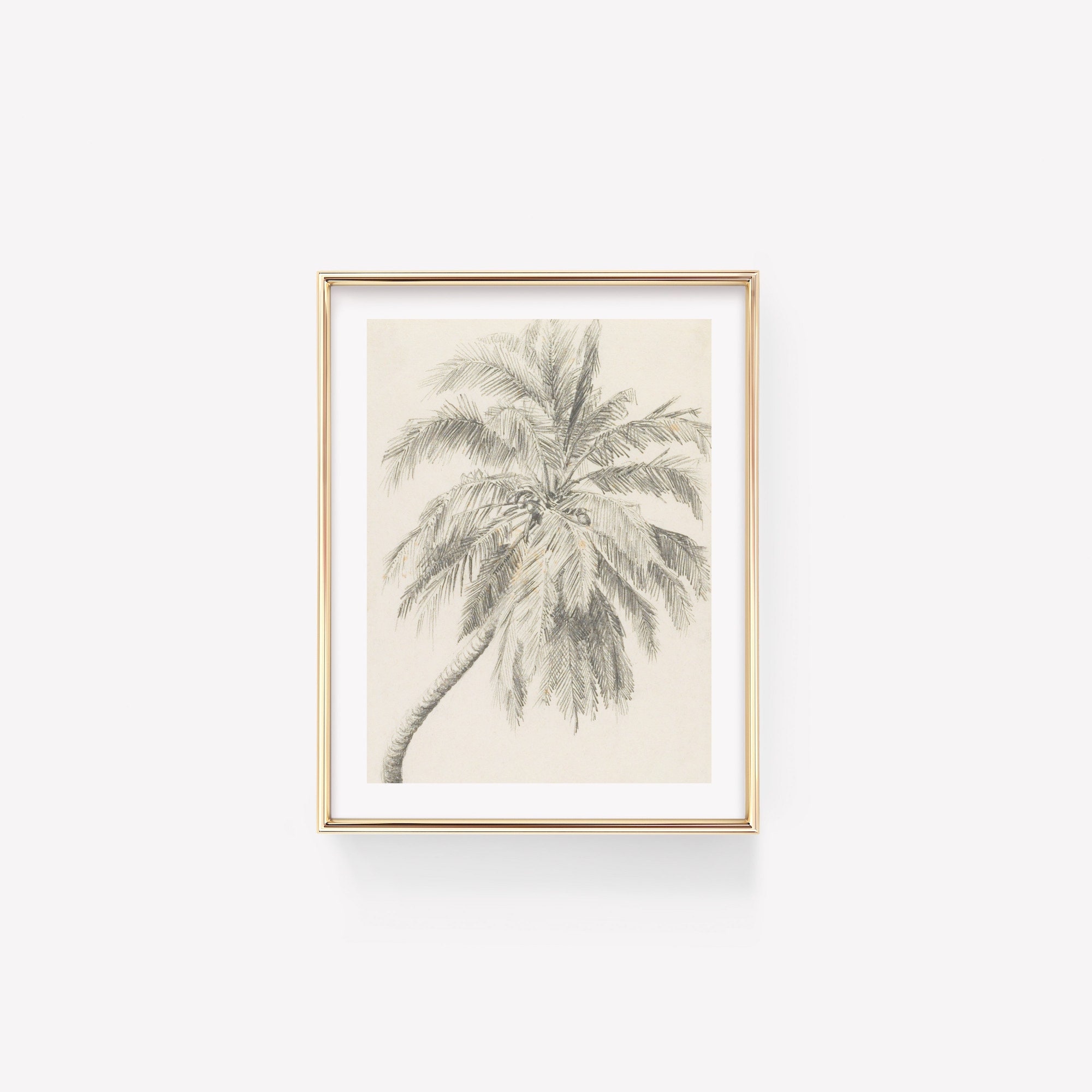 Palm Tree Print | Vintage Tree Drawing | Beach Decor | Coastal Art ...