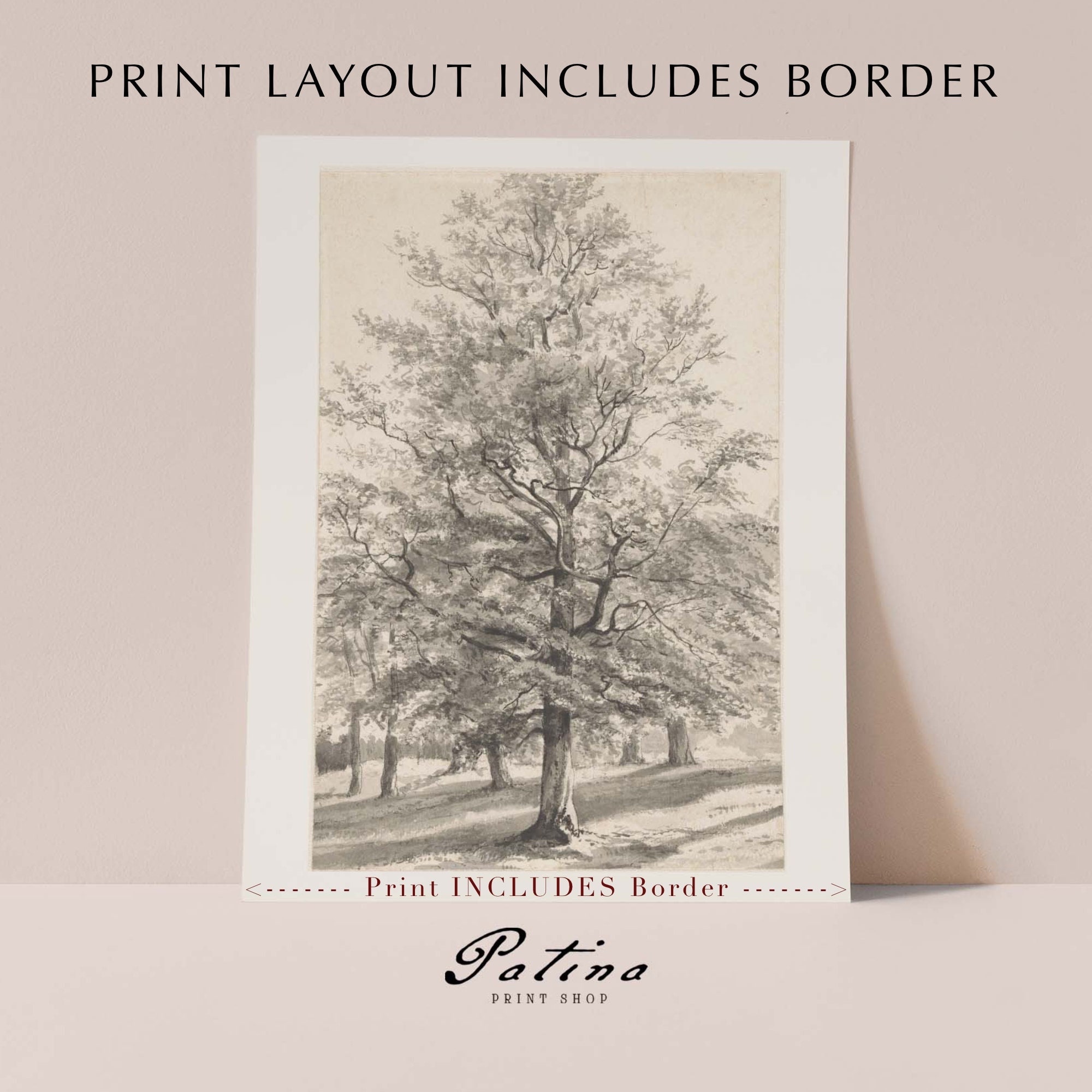 Vintage Tree Sketch Tree Drawing Nature Print Antique - Etsy