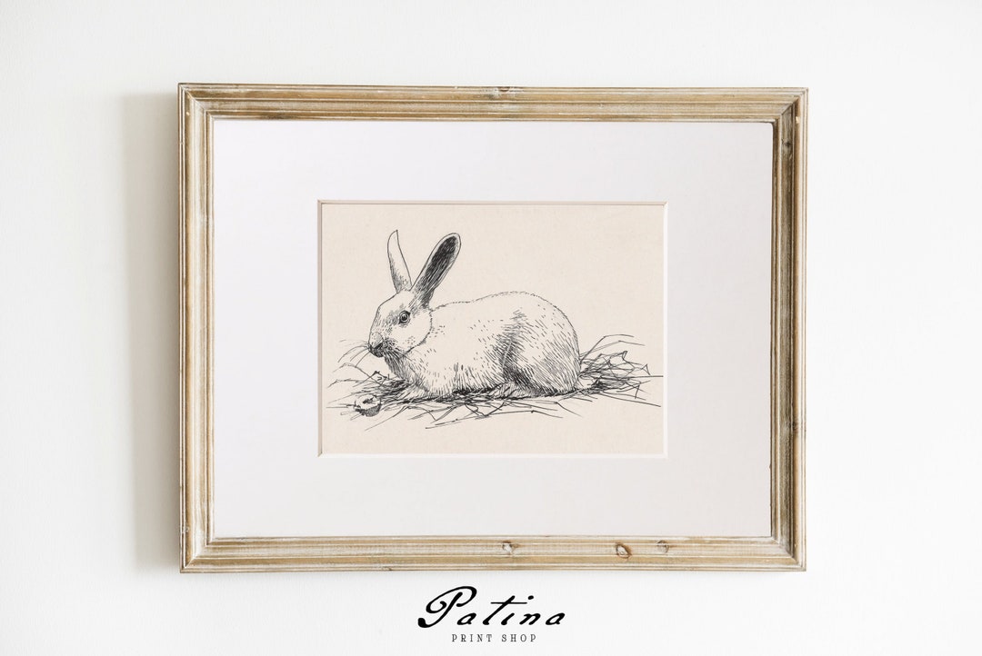 Vintage Rabbit Drawing | Antique Sketch | Vintage Animal Art | Black ...