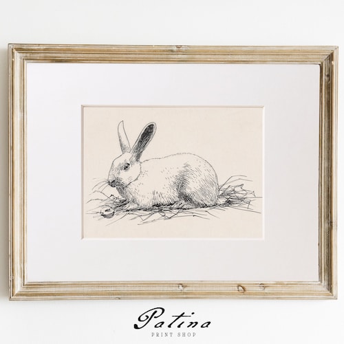 Vintage Rabbit Drawing Antique Sketch Vintage Animal Art - Etsy