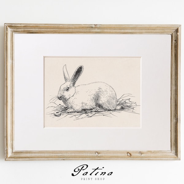 Vintage Rabbit Drawing - Etsy