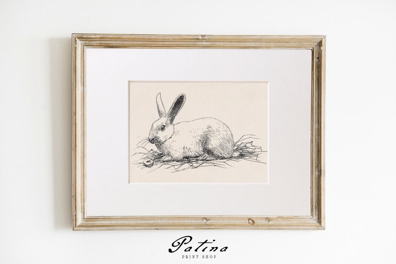 Vintage Rabbit Drawing Antique Sketch Vintage Animal Art - Etsy