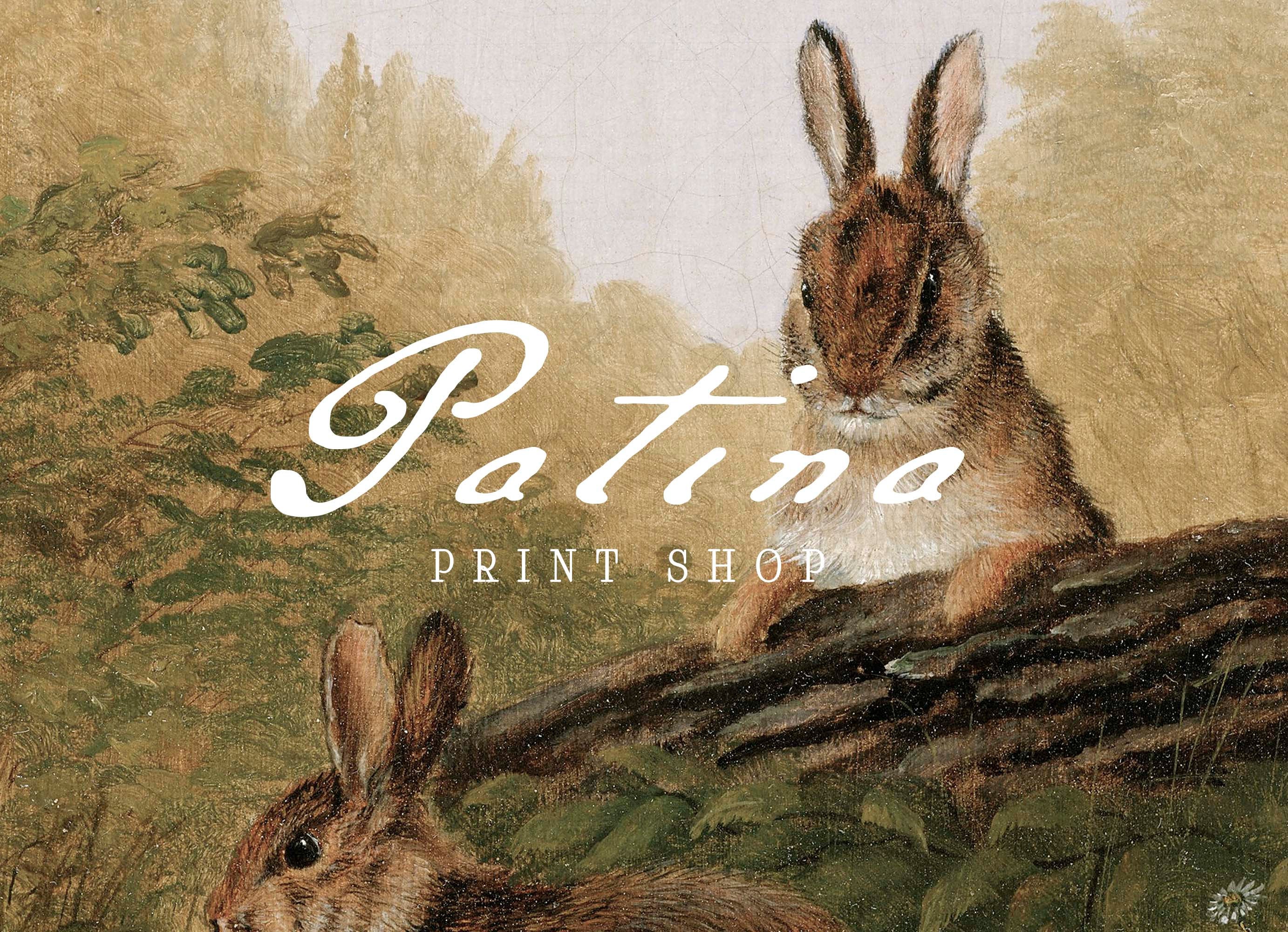 Rabbit Vintage Animal Print Nursery Wall Art Bunny - Etsy