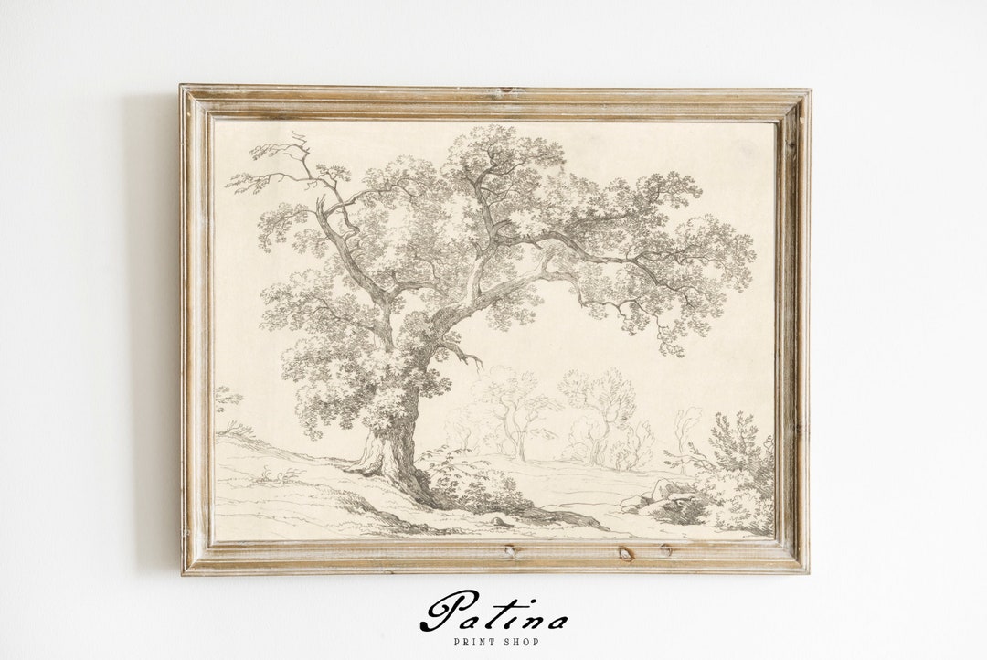 Antique Tree Sketch | Vintage Tree Drawing | Nature Art Print ...