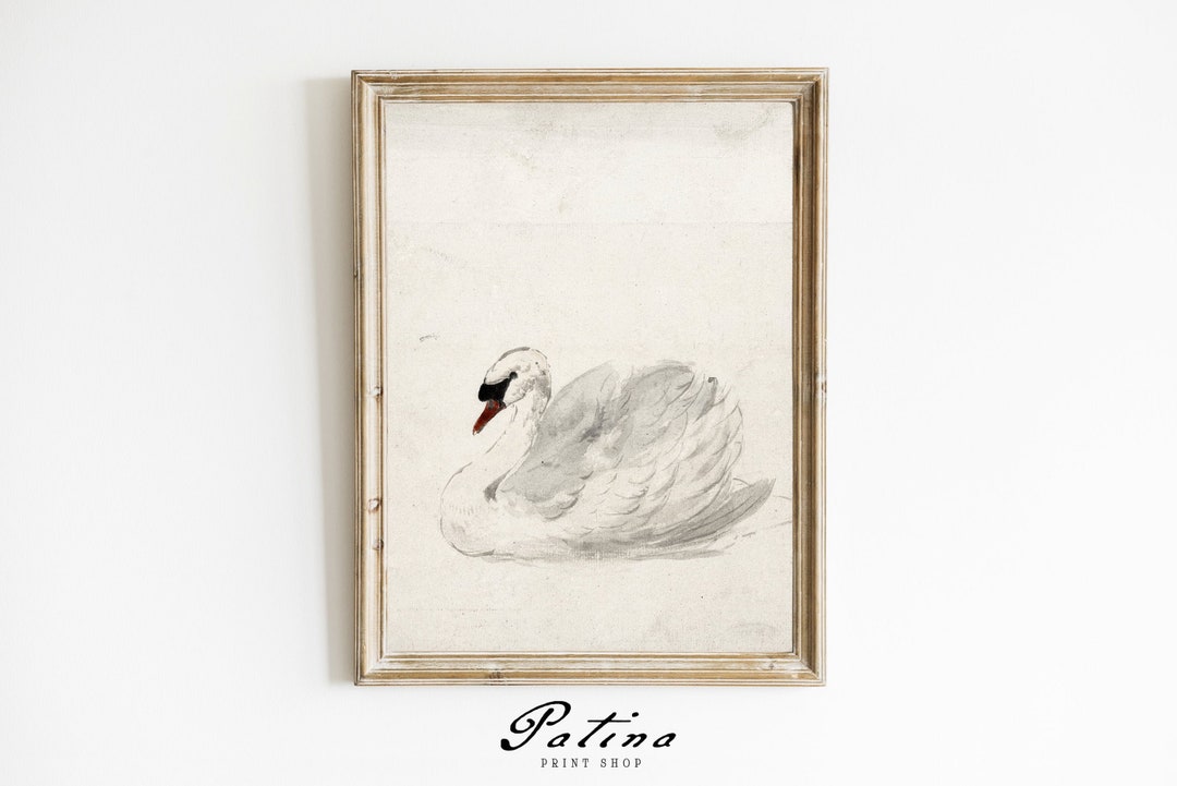 Vintage Swan Print | Antique Swan Painting | Vintage Nursery Wall Decor ...